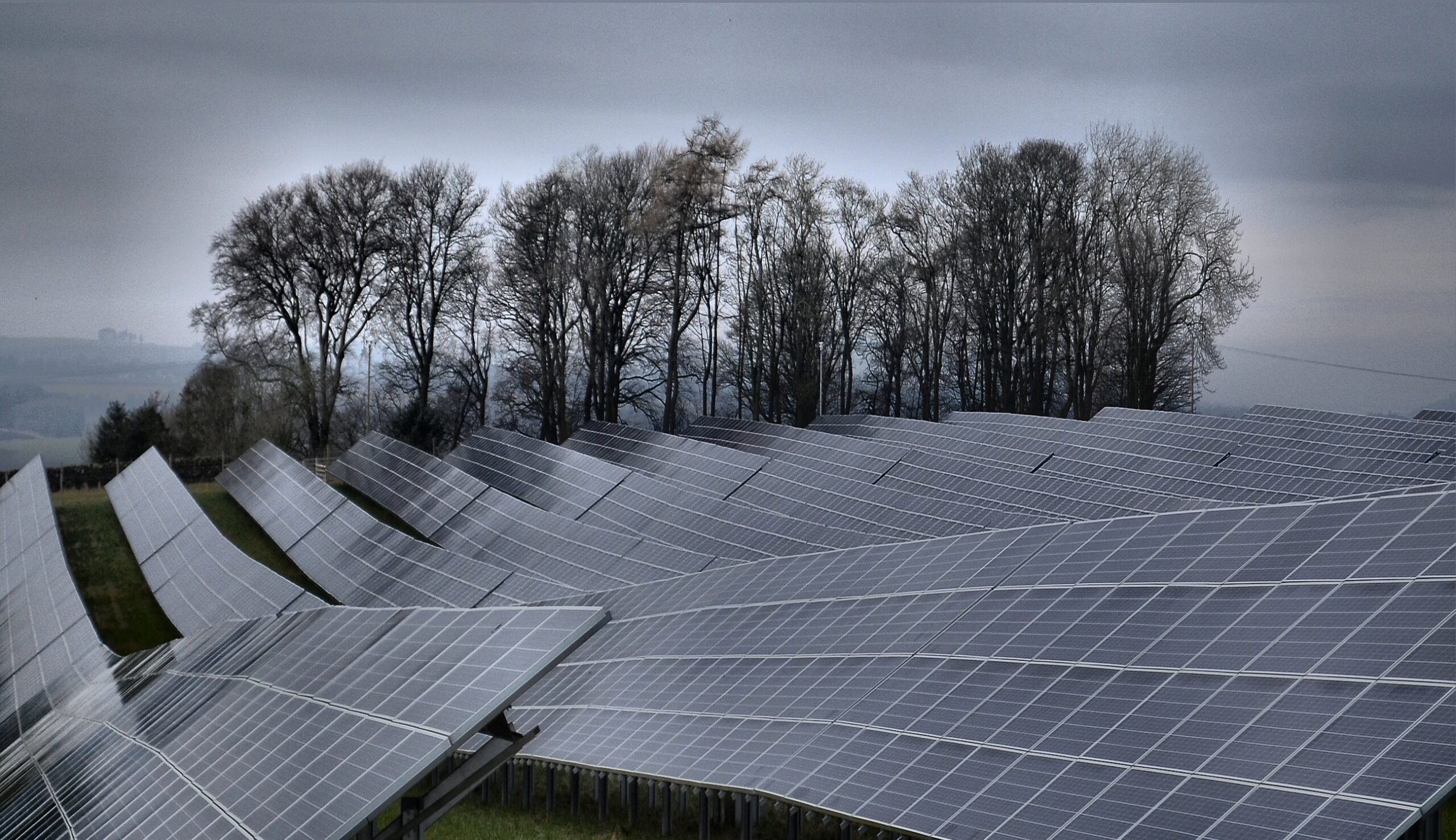 ‘Significant appetite’ for more solar power, says Scotland’s new energy ...